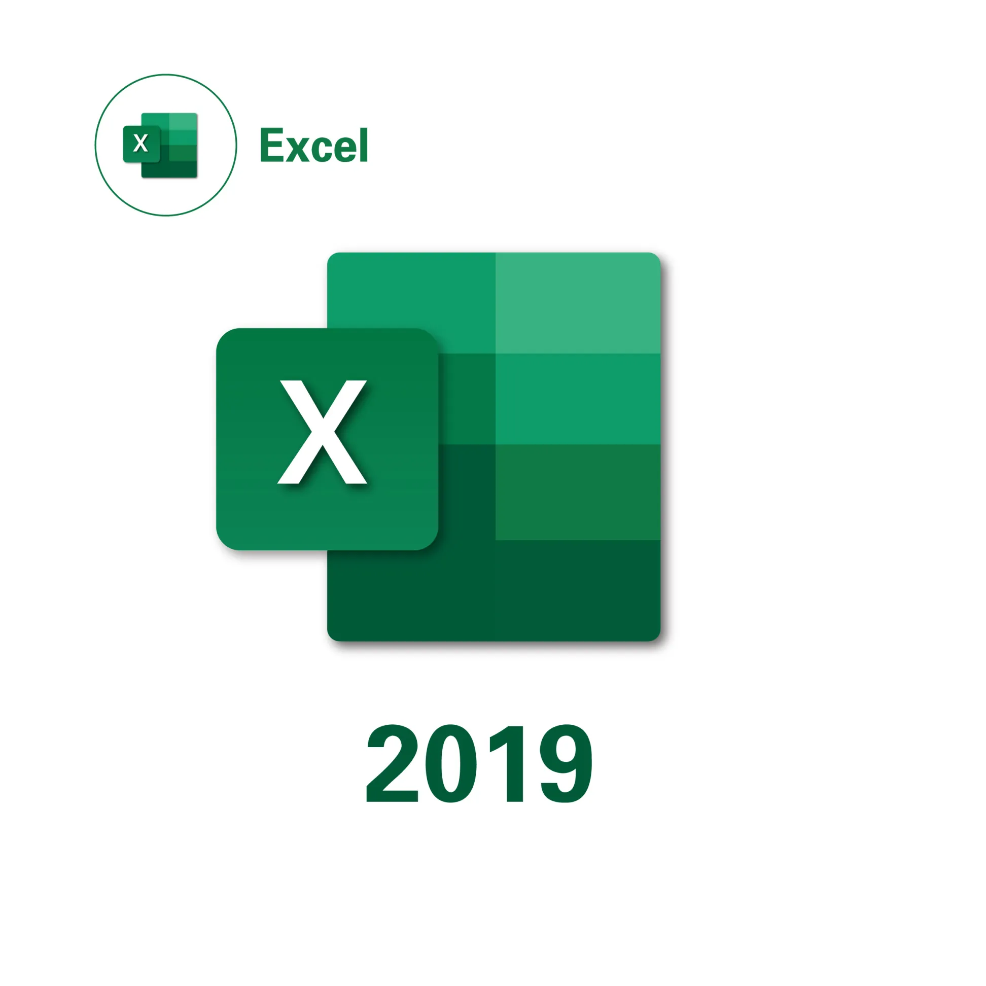 Excel 2019 store